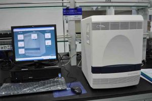 Fluorescent quantitative PCR laboratory equipment list - 【WUBOLAB】